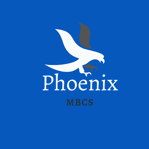 Phoenix MBCS – Phoenix – Medical Billing and Credentialing Solutions